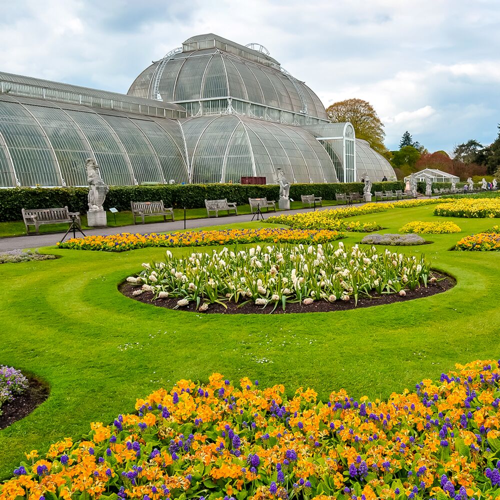 Kew Royal Botanic Gardens Stedet Med Den St rste Biodiversitet I Kew Royal Botanic Gardens Stedet Med Den St rste Biodiversitet I